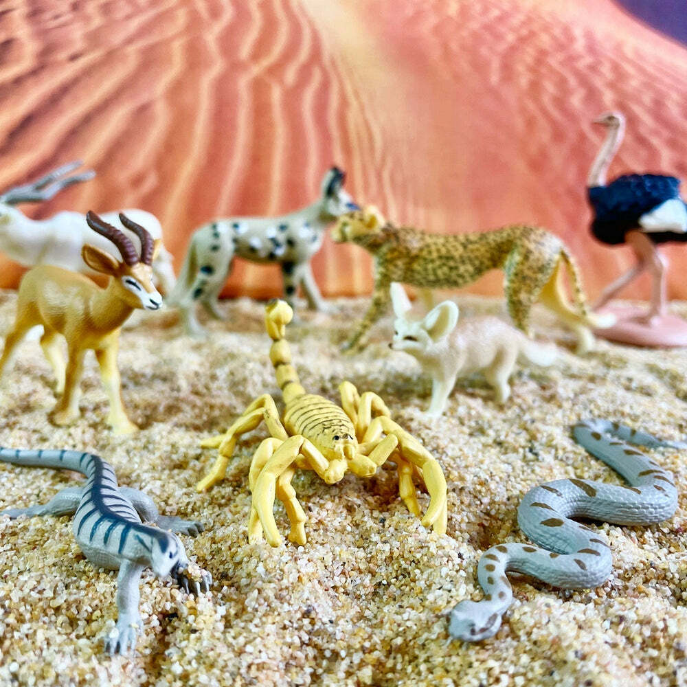 Sahara Desert Animals TOOB – School Crossing