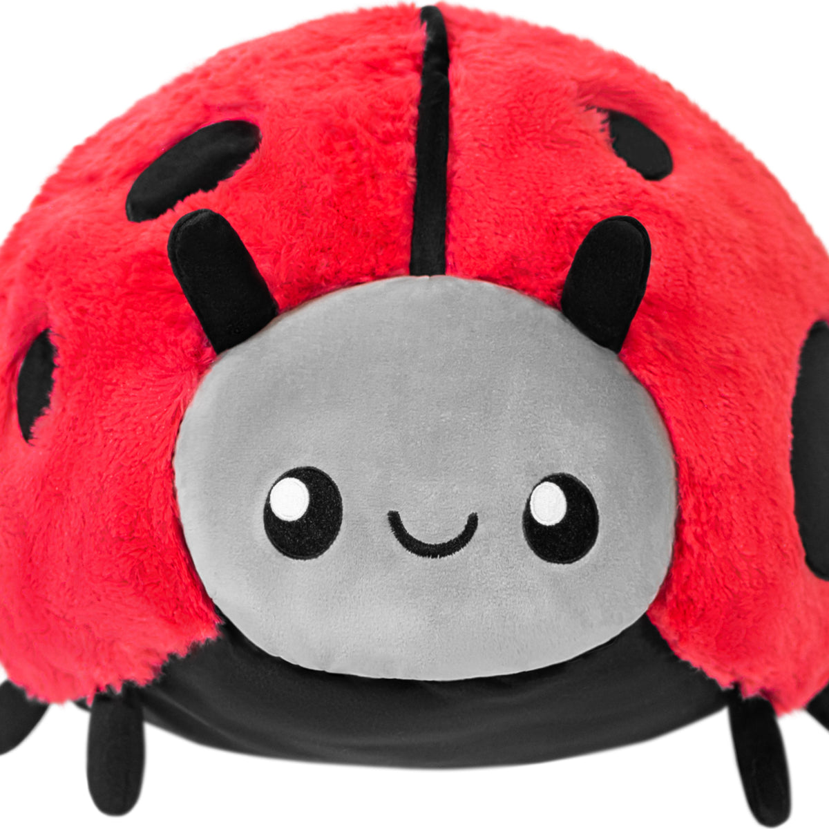 Squishable Ladybug II (15") – School Crossing