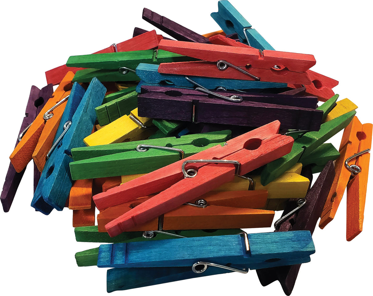 STEM Basics: Multicolor Clothespins - 50 Count – School Crossing