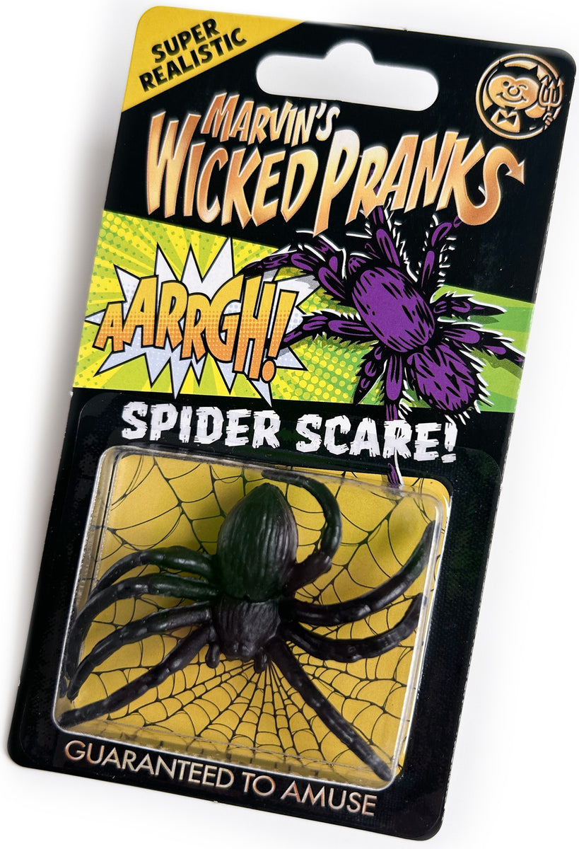 Spider Scare – School Crossing