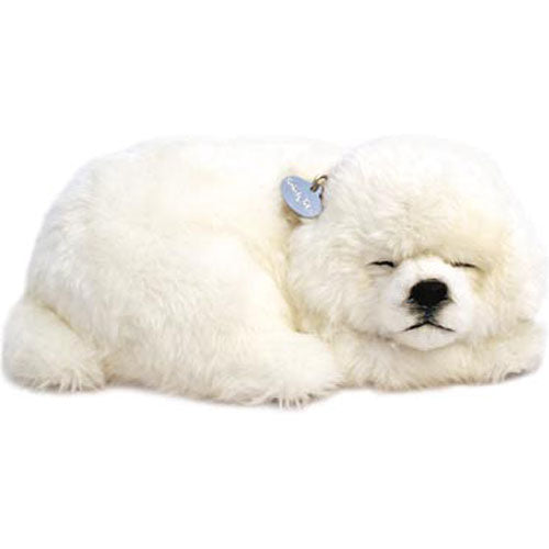 Maltese – School Crossing