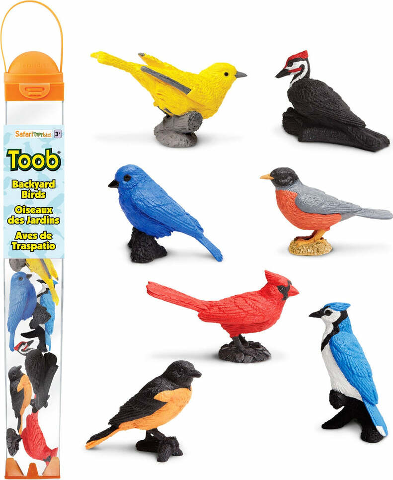 Backyard Birds TOOB® – School Crossing
