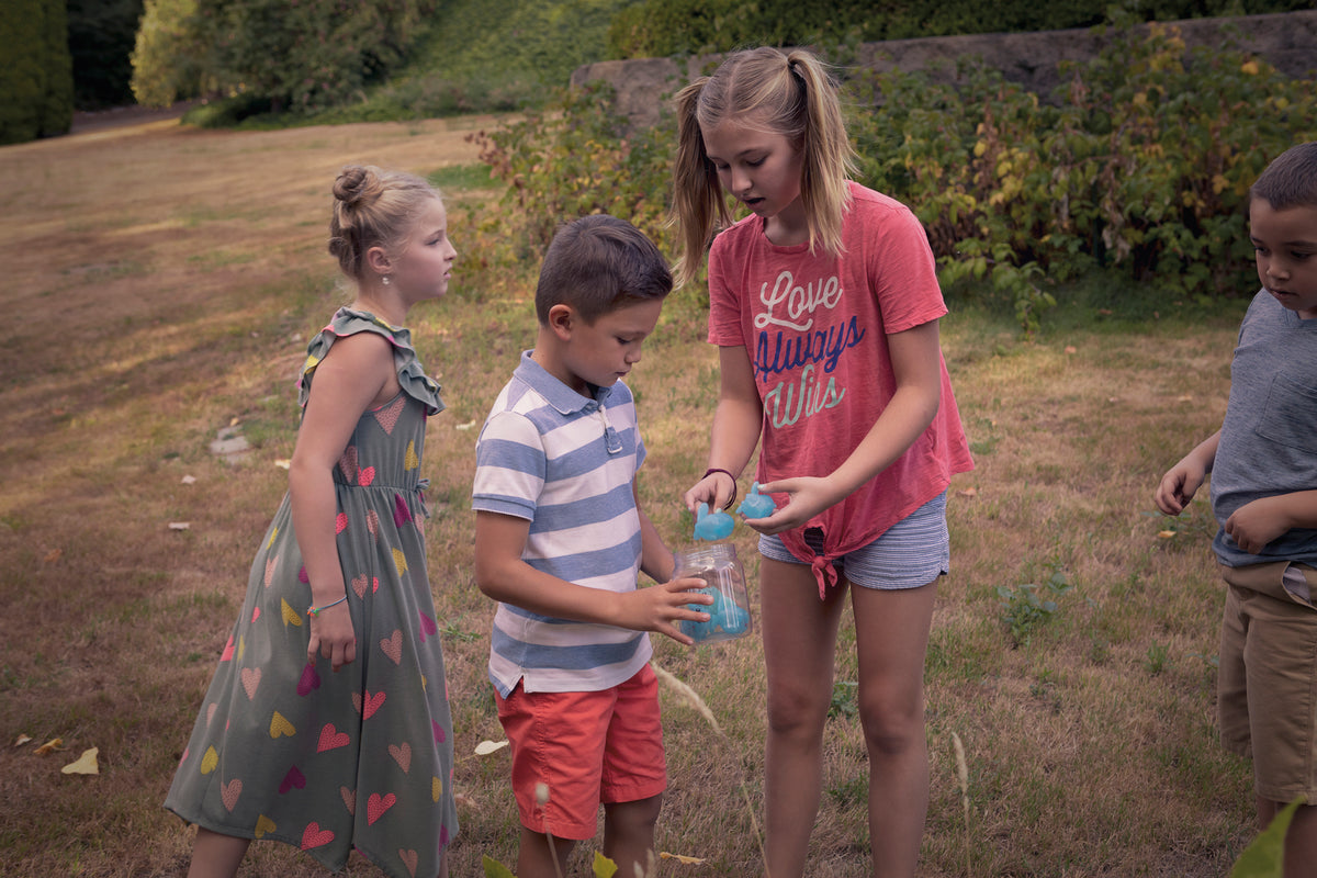 Chasing Fireflies Game – School Crossing